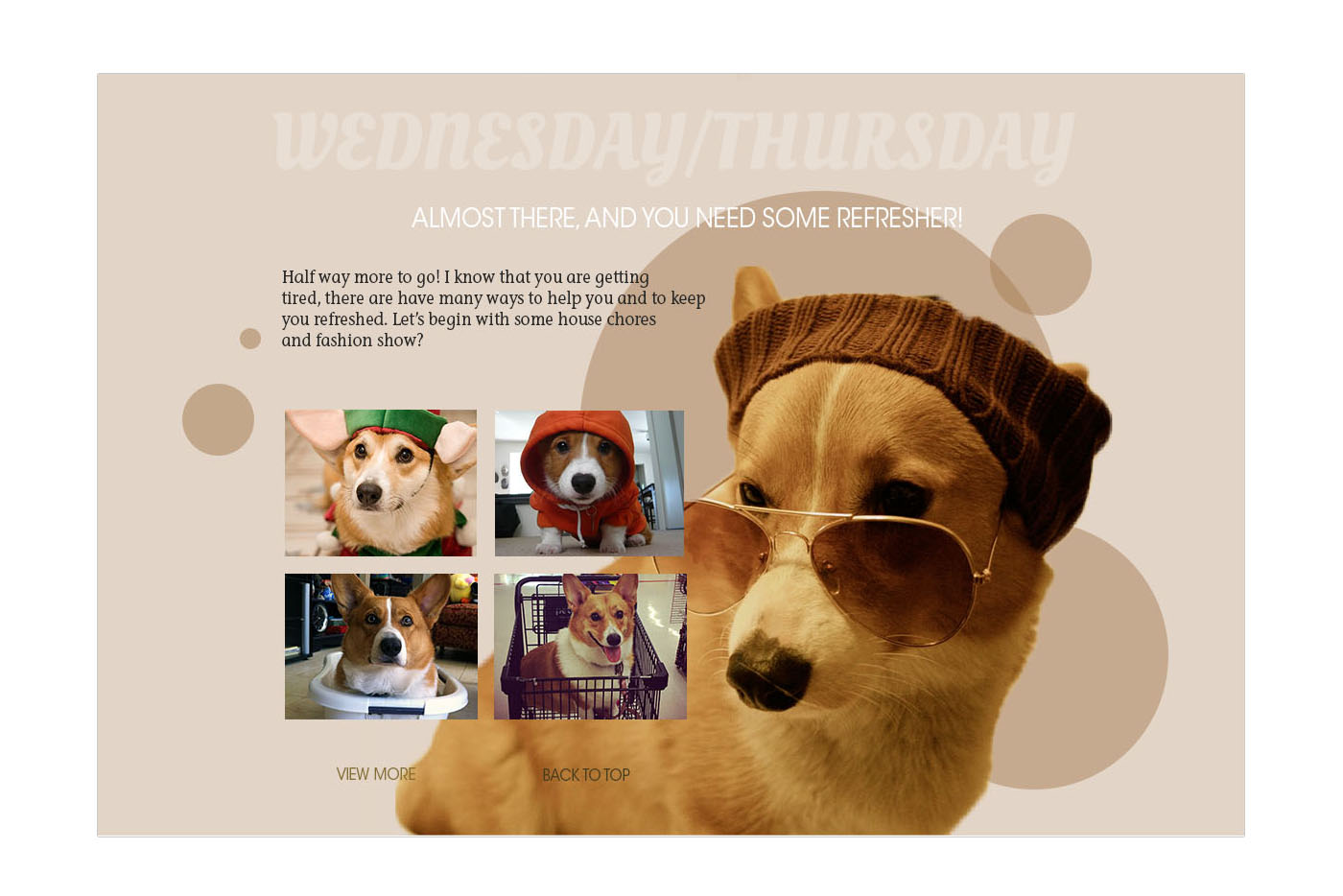 C | Corgi Everyday